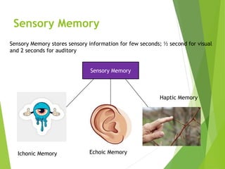 Psychology - Lesson 6 Memory Luqman .pptx