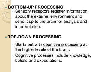 Psychology perception | PPSX