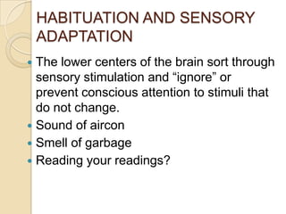 Sensory Adaptation Psychology
