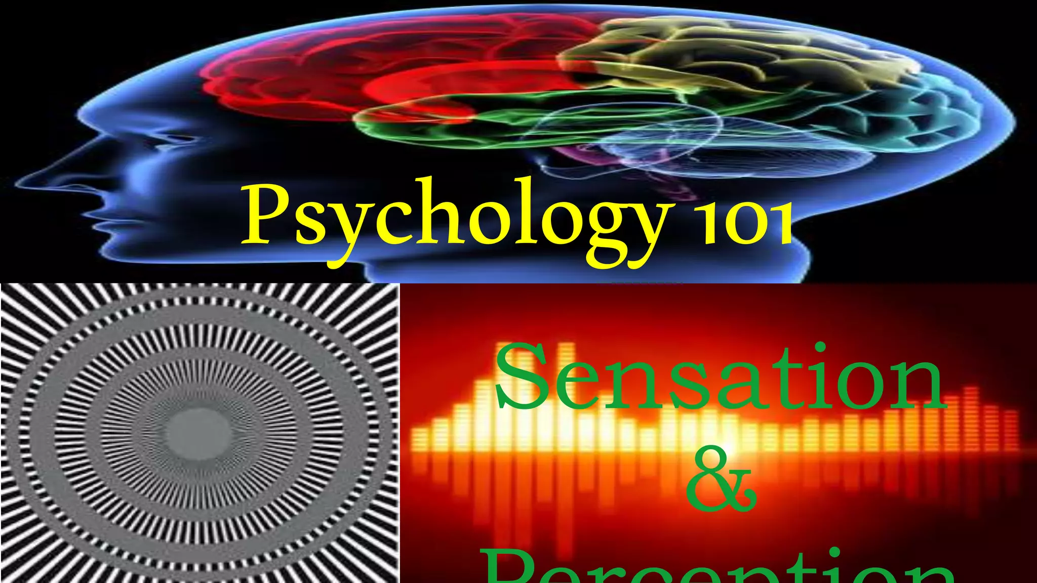 Psychology 101 Sensation & Perception | PPTX