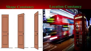 Psychology 101 Sensation & Perception | PPT