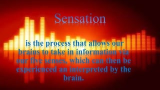 Sensation & Perception - Introduction to Psychology | PPTX