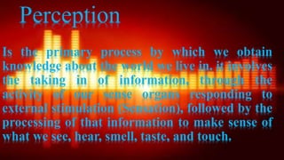 Sensation & Perception - Introduction to Psychology | PPTX