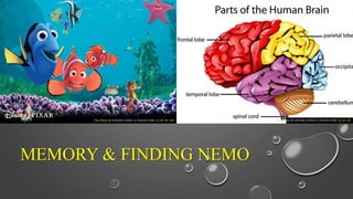 Psychology 101 Powerpoint Project | PPTX