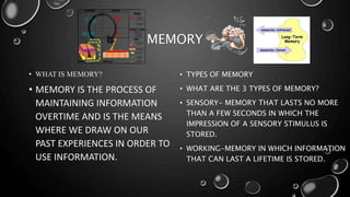Psychology 101 Powerpoint Project | PPTX