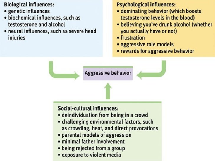 Psychology 102: Social processes, society & culture