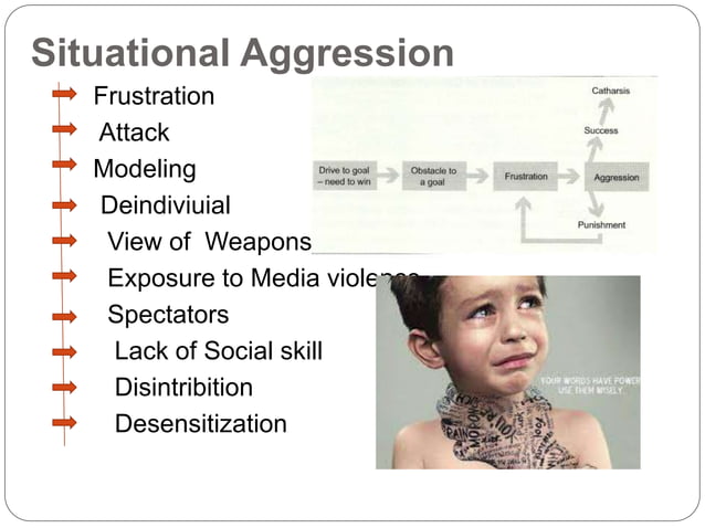 Aggression Psychology | PPTX