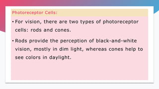 (psychology Assignment) FUNCTIONS OF AN EYE.pptx