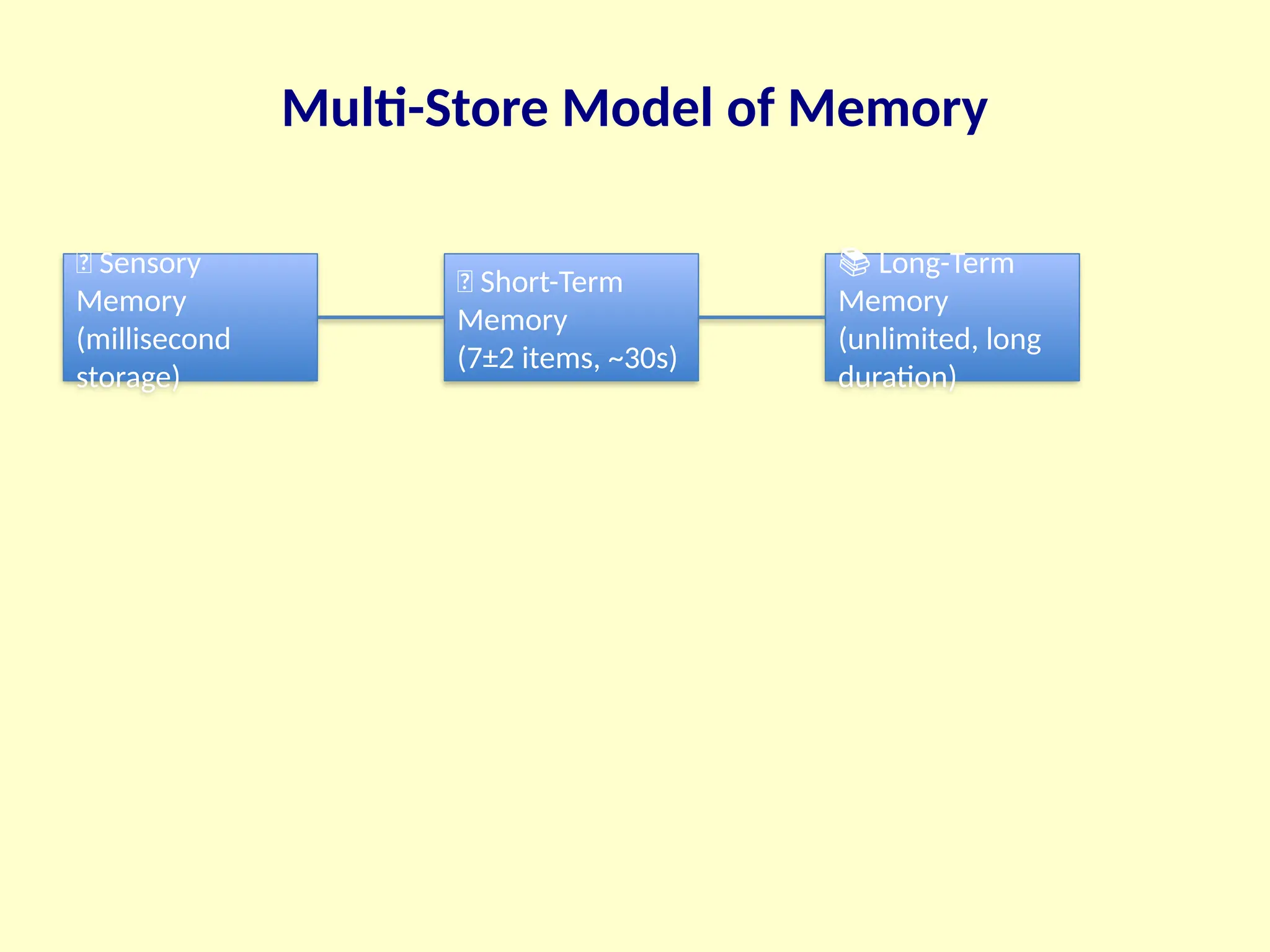 Psychology Memory and forgetting multi store Diagram | PPTX