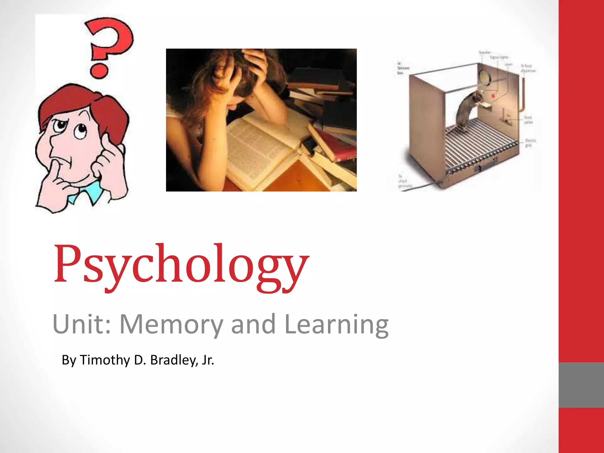 Psychology Memory and Learning Power Point | PPTX