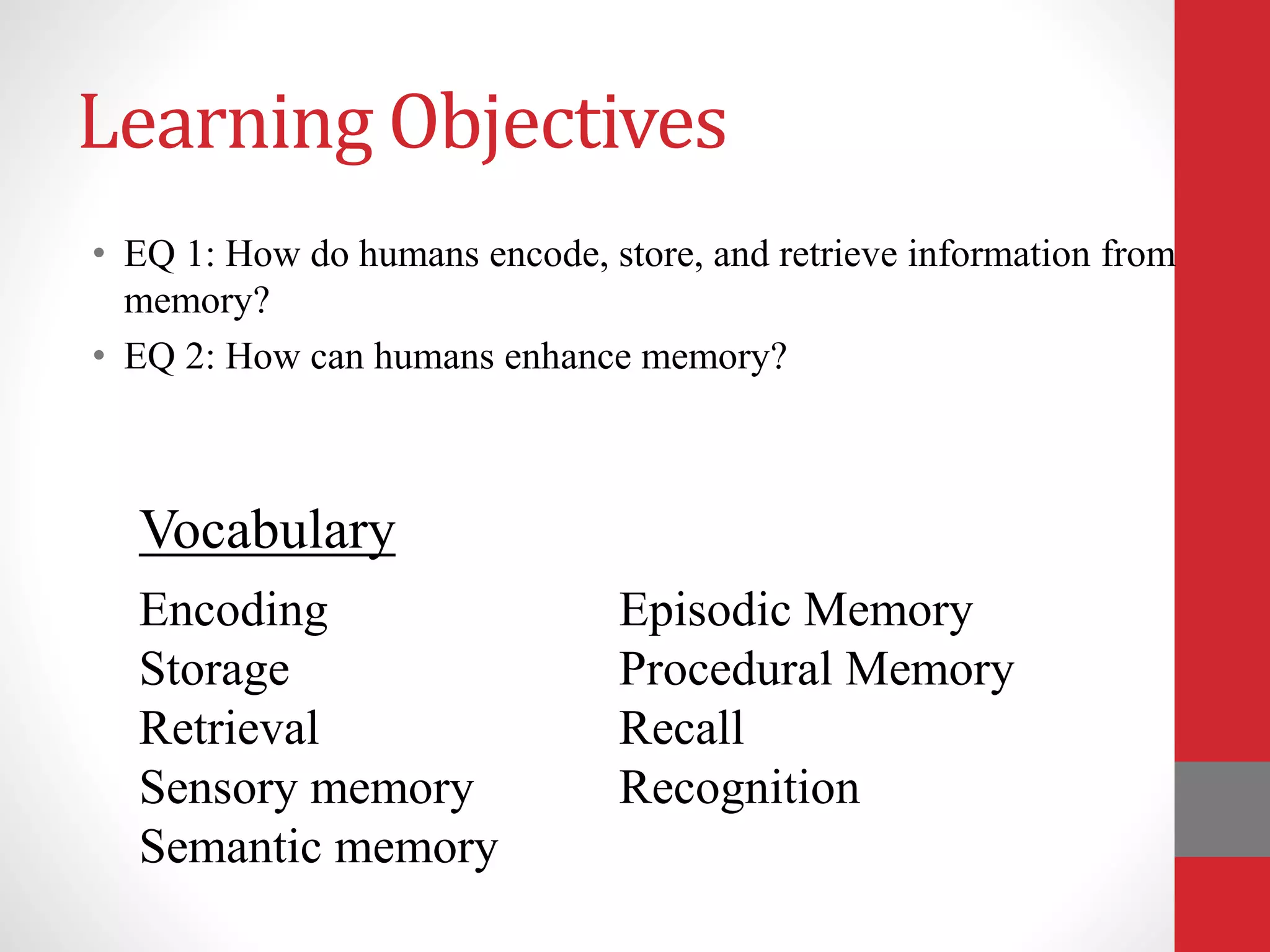 Psychology memory cognition language power point | PPTX