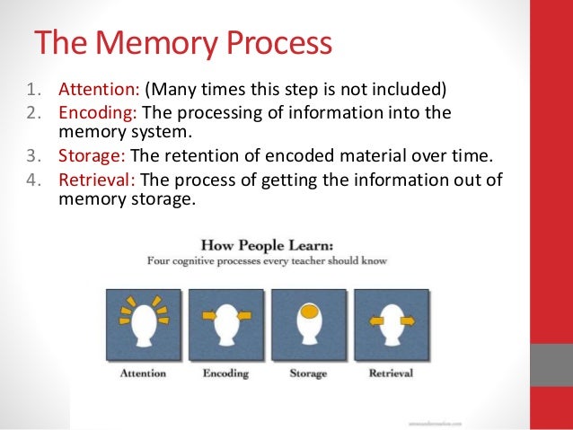 Storage Memory Psychology