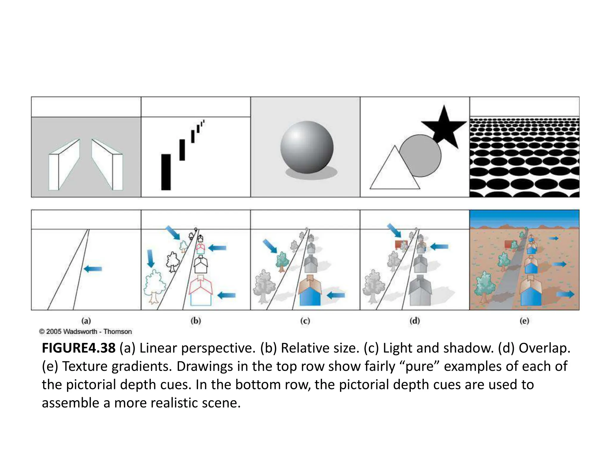 Psychology freshman course psy 1011 Note 2.pdf