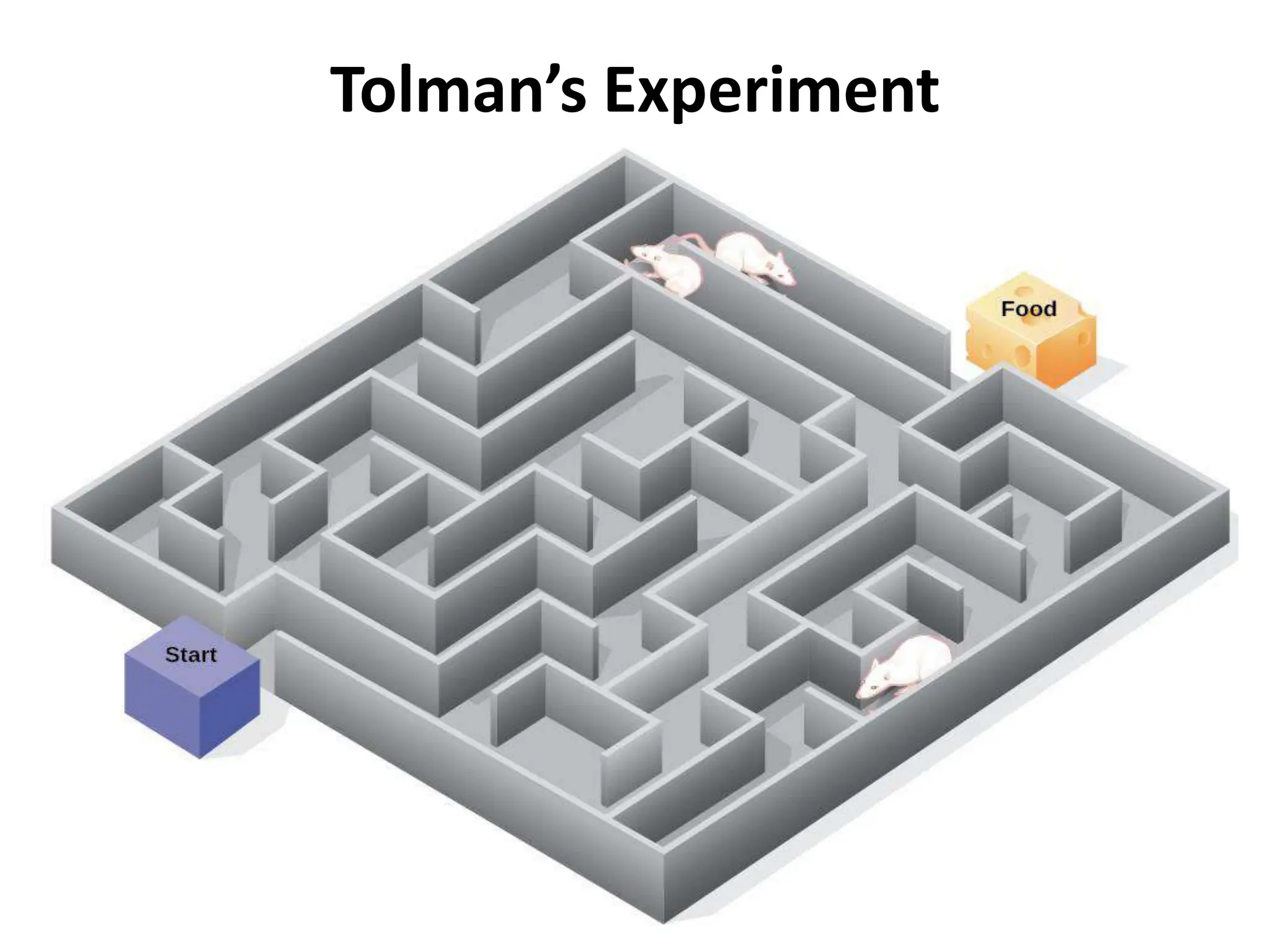 Psychology freshman course psy 1011 Note 2.pdf