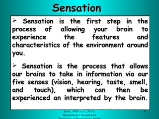 Psychology of cognition | PPT