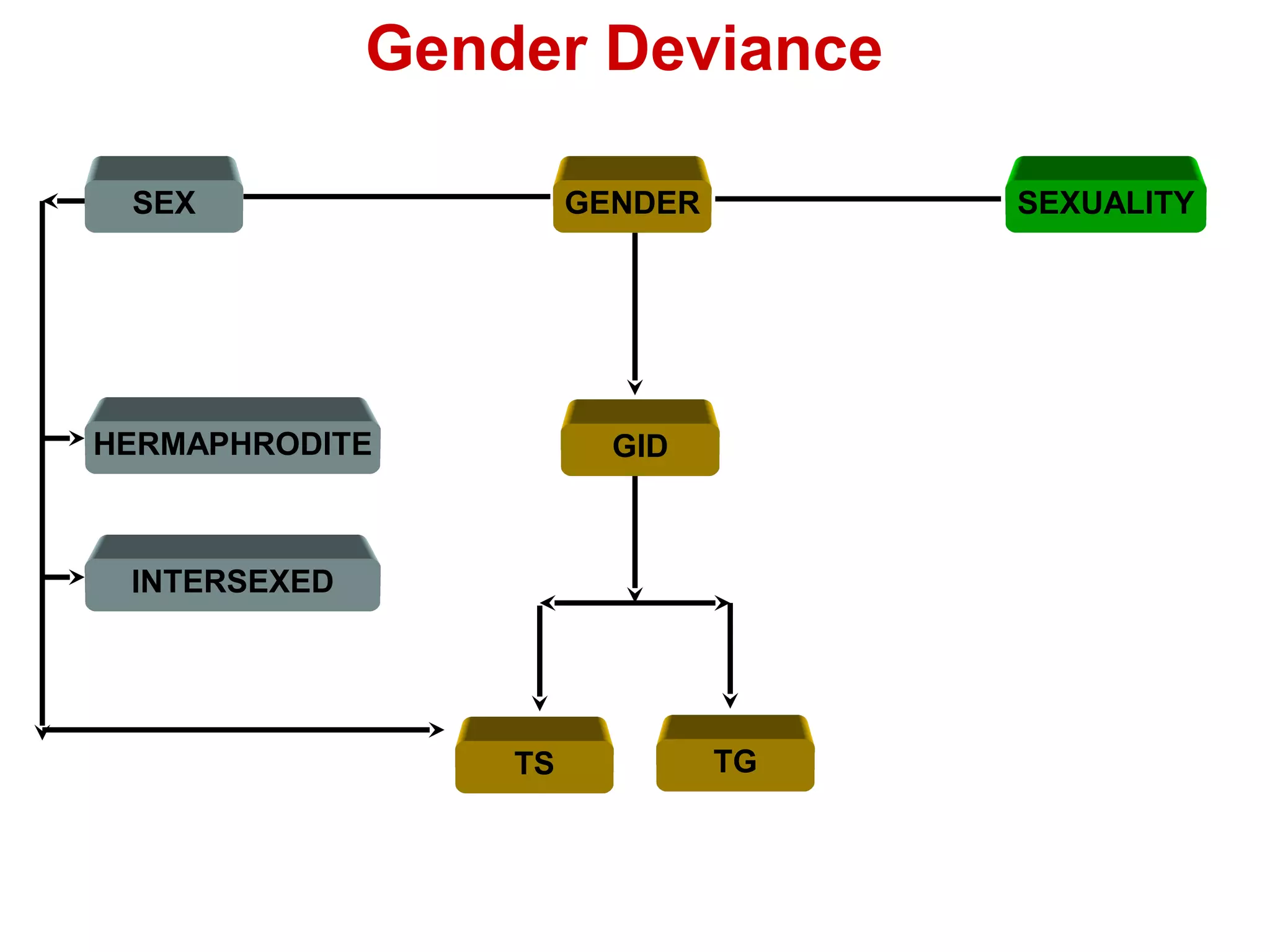 Psychology of gender | PPT