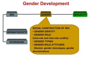 Psychology of gender | PPT