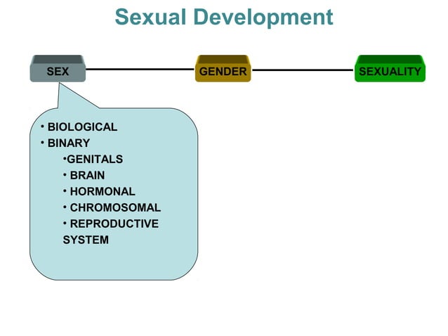 Psychology of gender | PPT