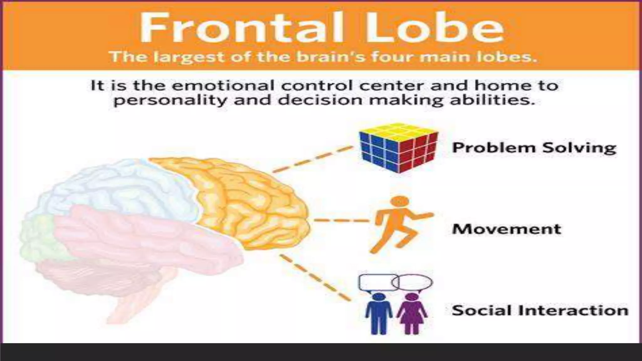 Psychology of Multitasking by DR. RHEA FISER.pptx