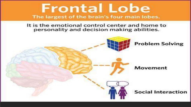 Psychology of Multitasking by DR. RHEA FISER.pptx | Brain and Nervous ...