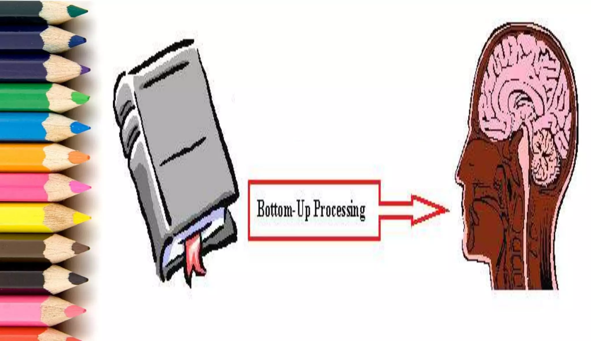Gough's Reading model | PPTX
