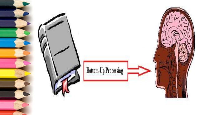 Gough's Reading model | PPTX | Education