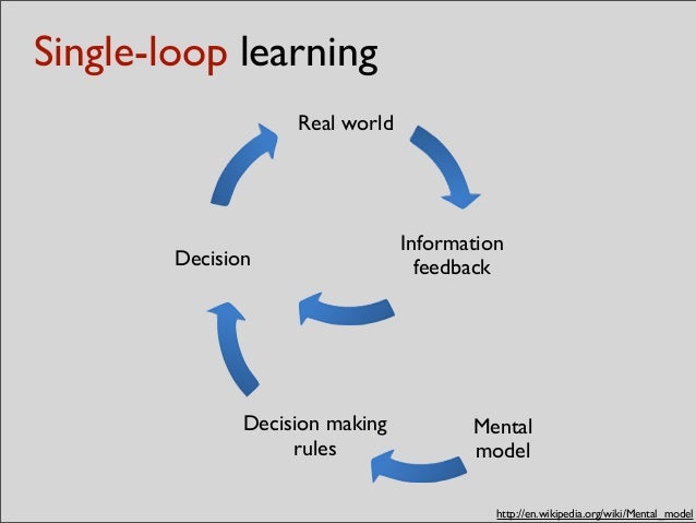 Single-loop learning Real world Information