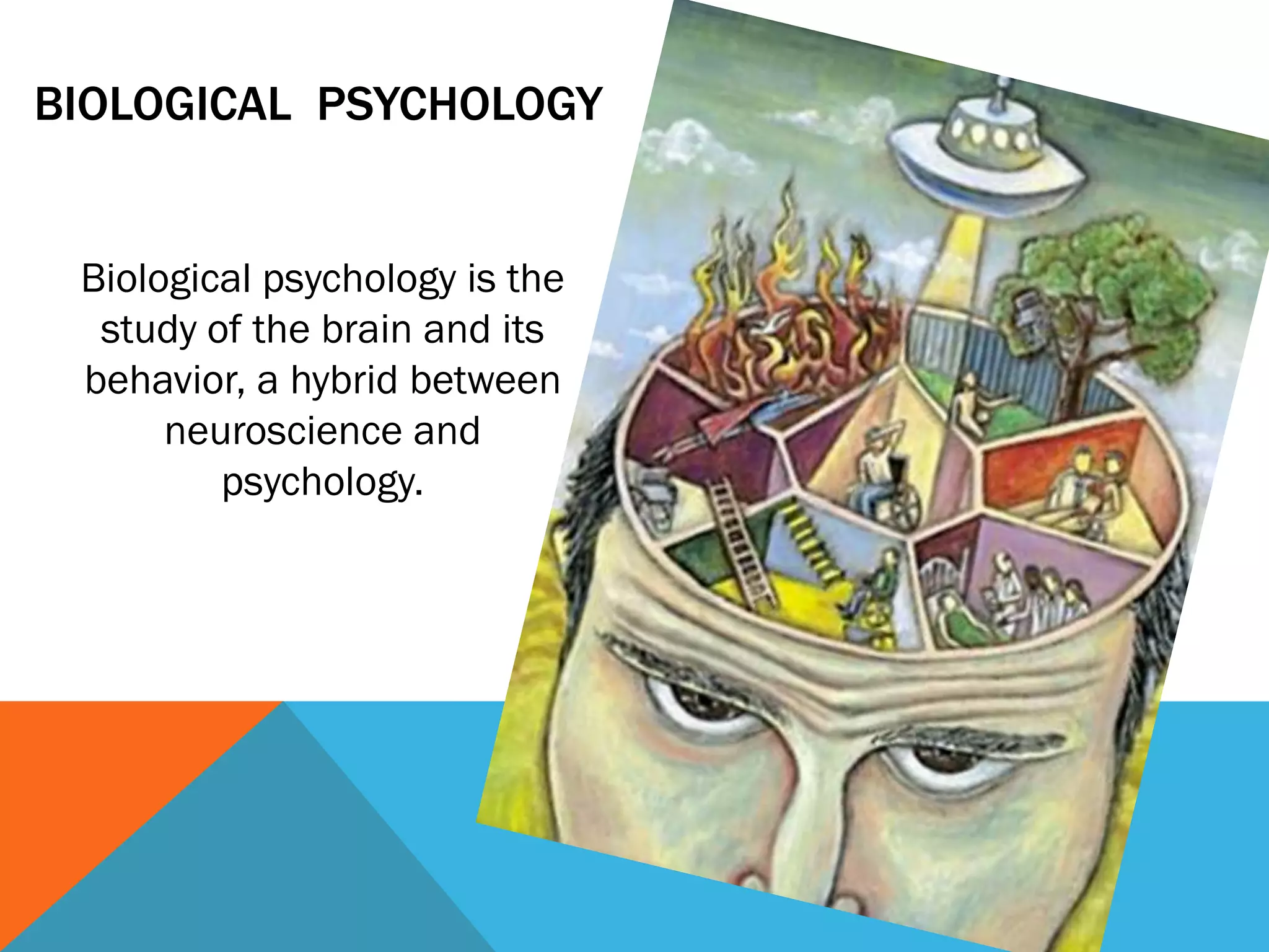 Psychology perspectives powerpoint | PPTX