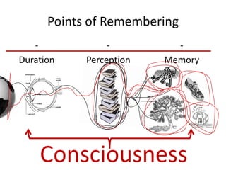 Psychology, Philosophy & Memory | PPTX