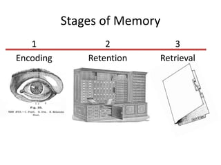 Psychology, Philosophy & Memory | PPT