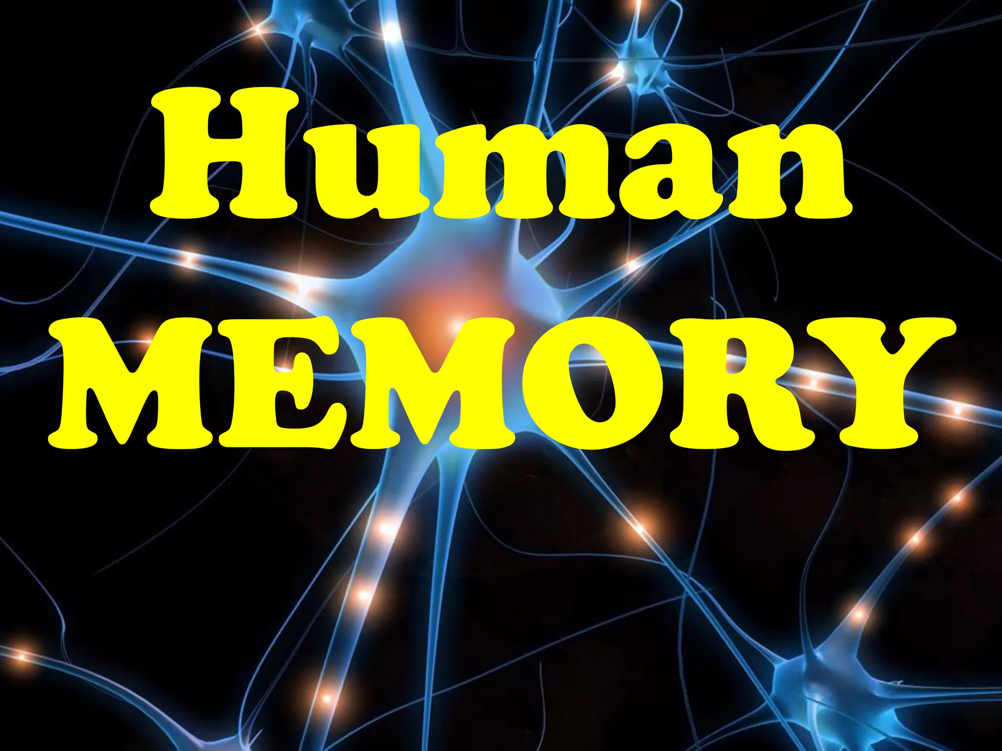 Human Memory (Psychology) | PPTX