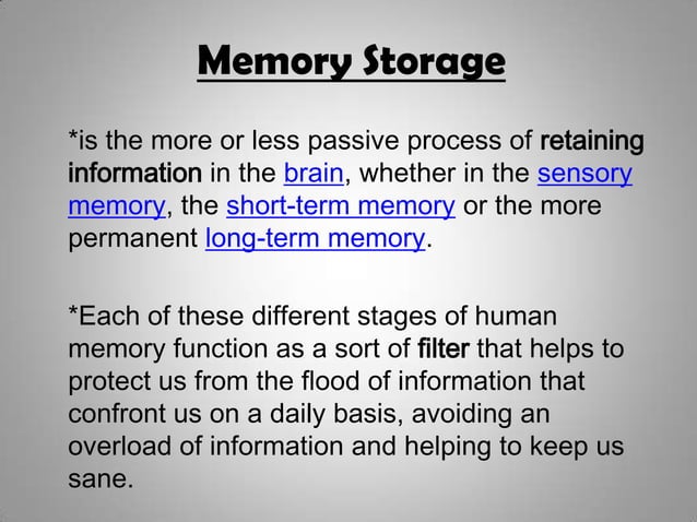 Human Memory (Psychology) | PPTX | Internet for Beginners | Internet