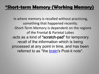Human Memory (Psychology) | PPTX