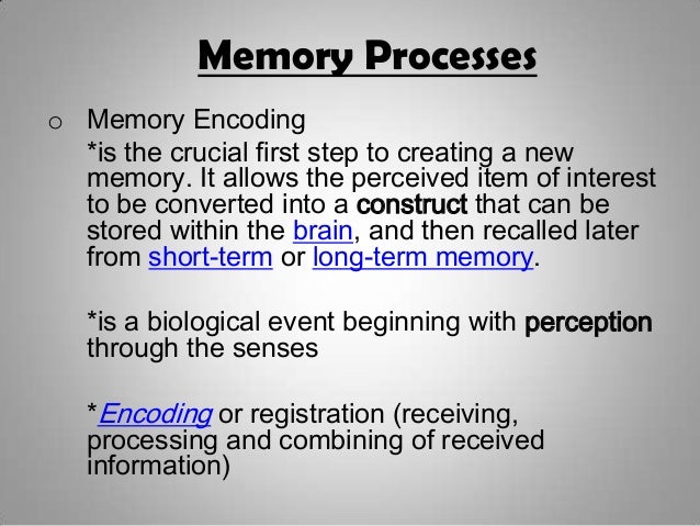 Storage Memory Psychology
