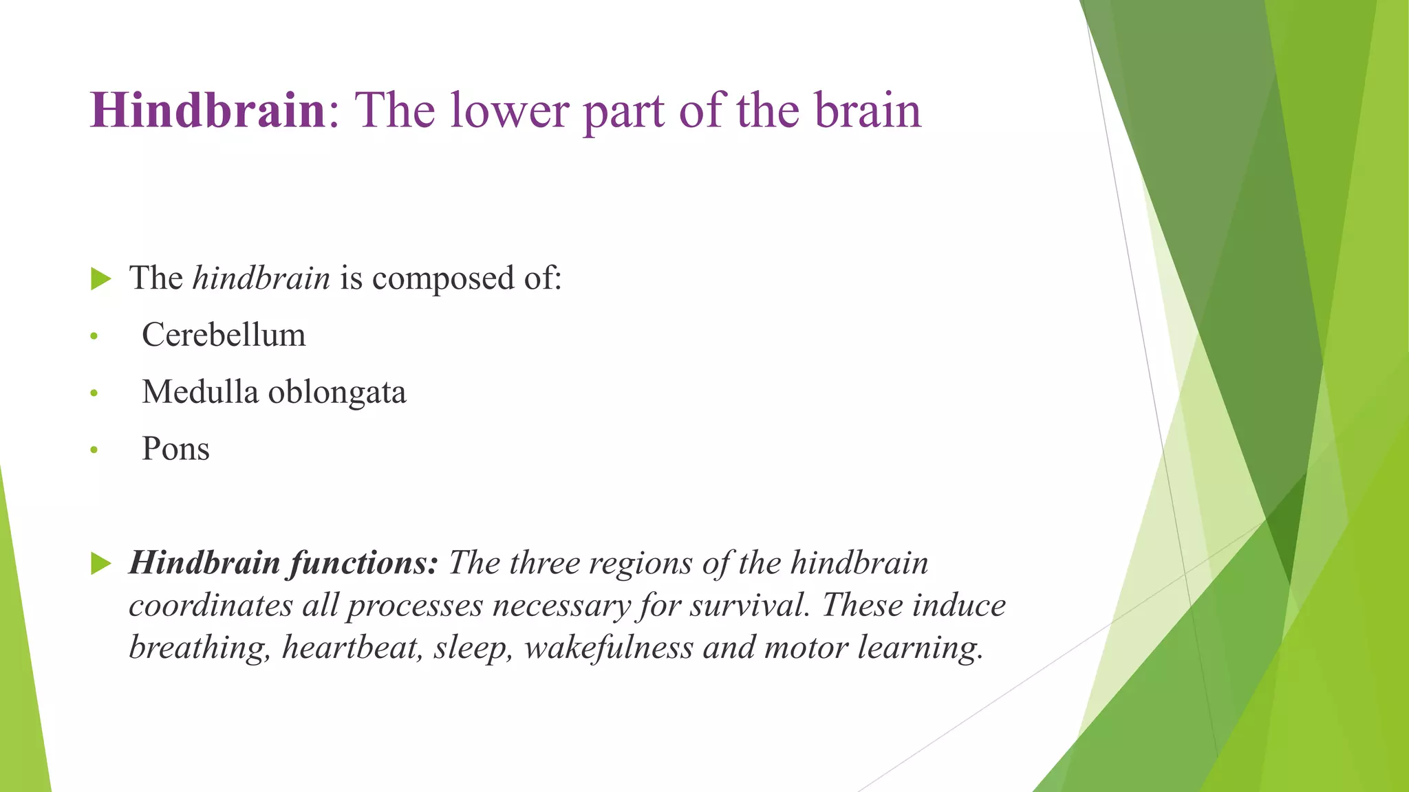 psychology ppt.pptx