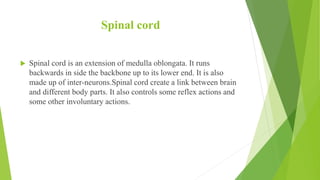 psychology ppt.pptx