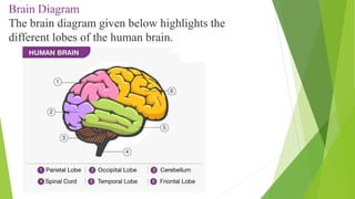 psychology ppt.pptx