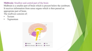 psychology ppt.pptx