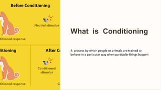 Classical conditioning | PPTX