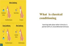 Classical conditioning | PPT