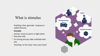 Classical conditioning | PPT
