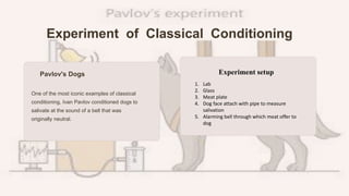 Classical conditioning | PPT