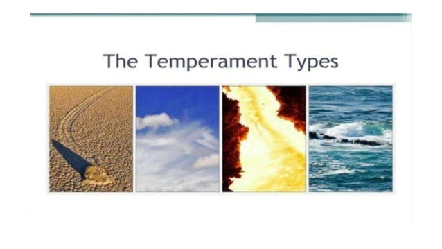 Temperament and it's types psychology ppt | PPTX | Computer Software ...