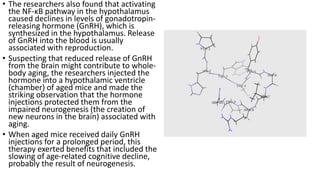 The Hypothalamus | PPTX