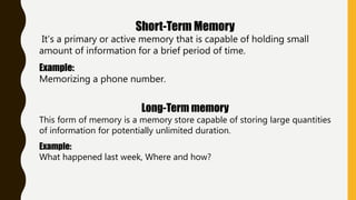 Long Term Memory Examples