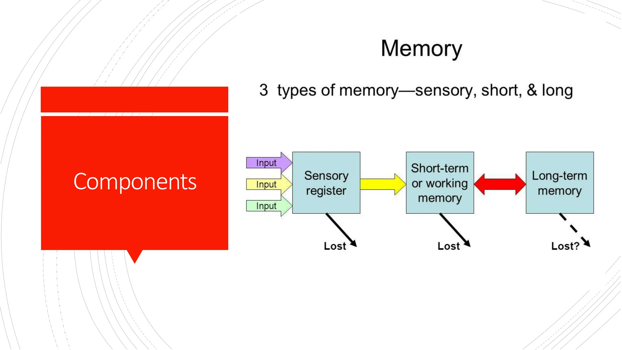 Memory, Its Components, Its Types, Seven Sins of Memory, Strategies to ...