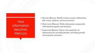 Memory, Its Components, Its Types, Seven Sins of Memory, Strategies to ...