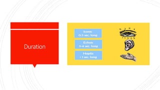 Memory, Its Components, Its Types, Seven Sins of Memory, Strategies to ...