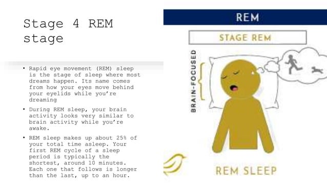 Normal sleep and types of REM and NREM sleep | PPTX