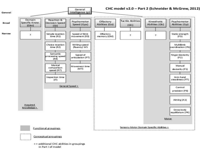 Psychology CHC Model | PPTX | Science